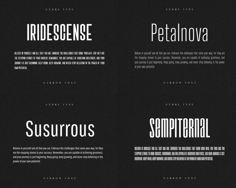 Narrow Fonts Bundle 1, Condensed Narrow Font, Procreate Fonts, Canva ...