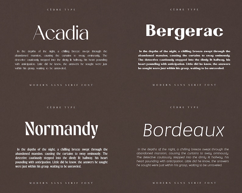 Modern Sans Serif Fonts Bundle 1, Elegant Sans Serif Font OTF ...