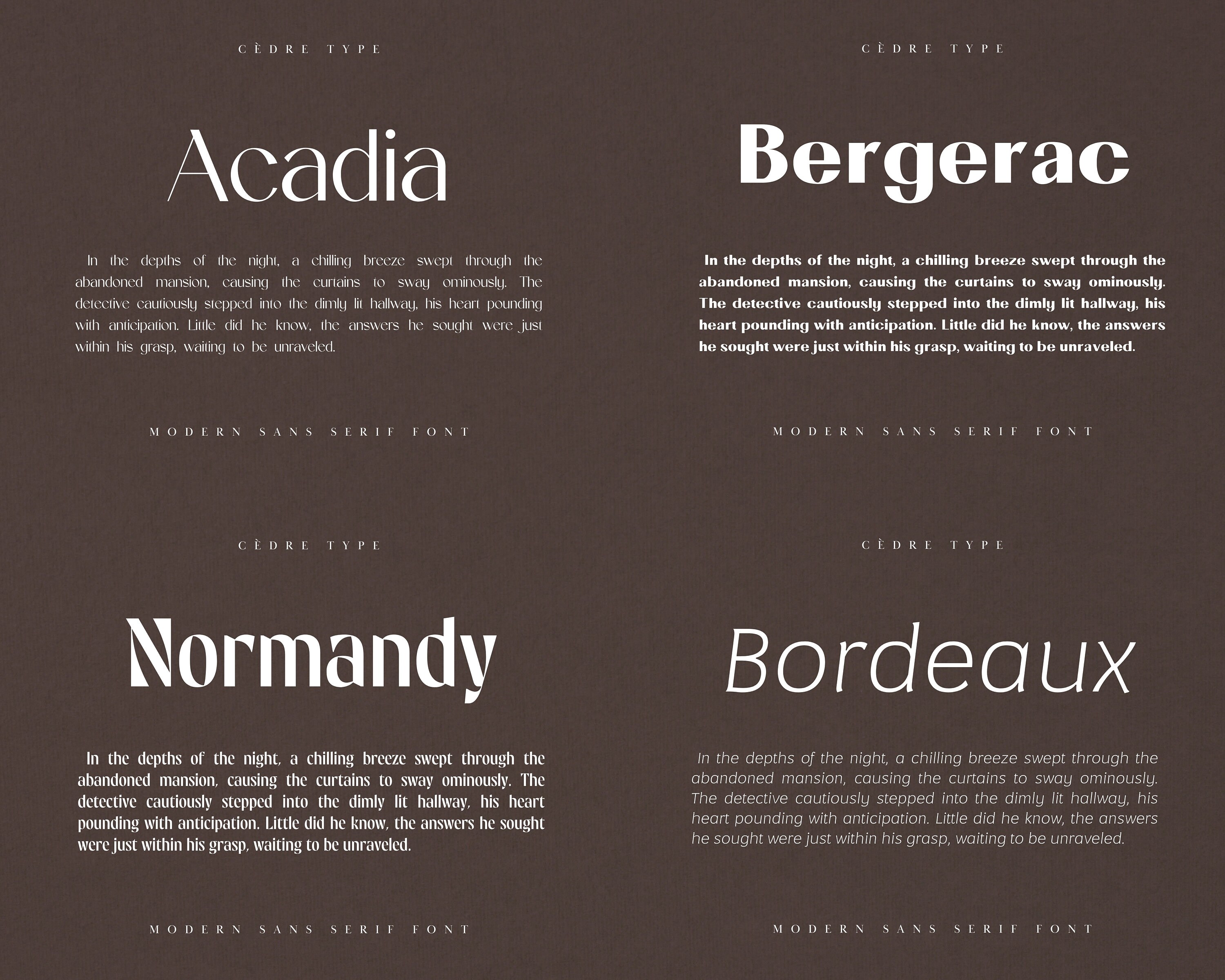 Modern Sans Serif Fonts Bundle 1, Elegant Sans Serif Font OTF ...