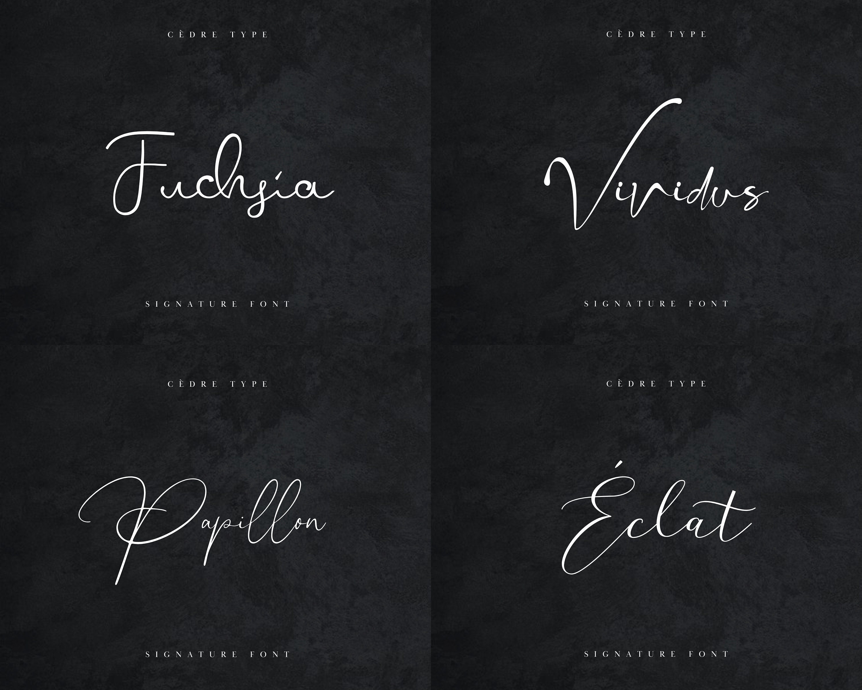 Signature Fonts Bundle 2, Cursive Signature Font OTF, Birthday Fonts ...