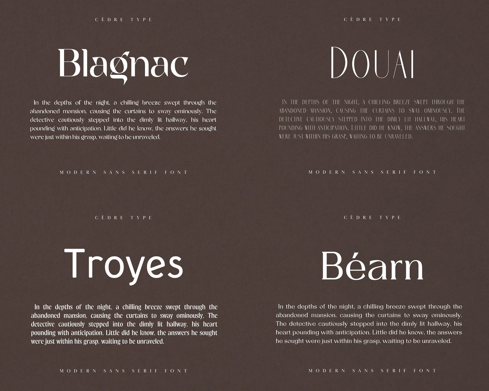 Modern Sans Serif Fonts Bundle 1, Elegant Sans Serif Font OTF ...