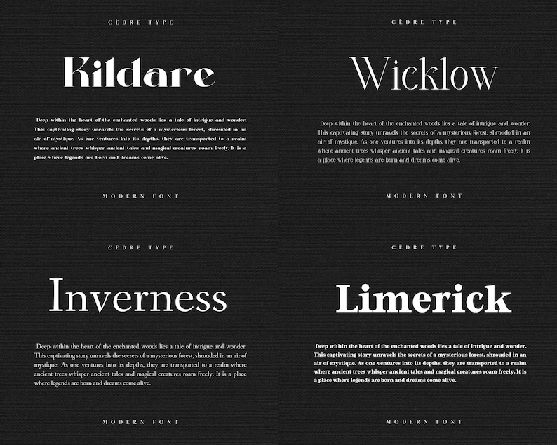 Modern Fonts Bundle 1, Elegant Modern Font OTF, Procreate Fonts, Canva ...