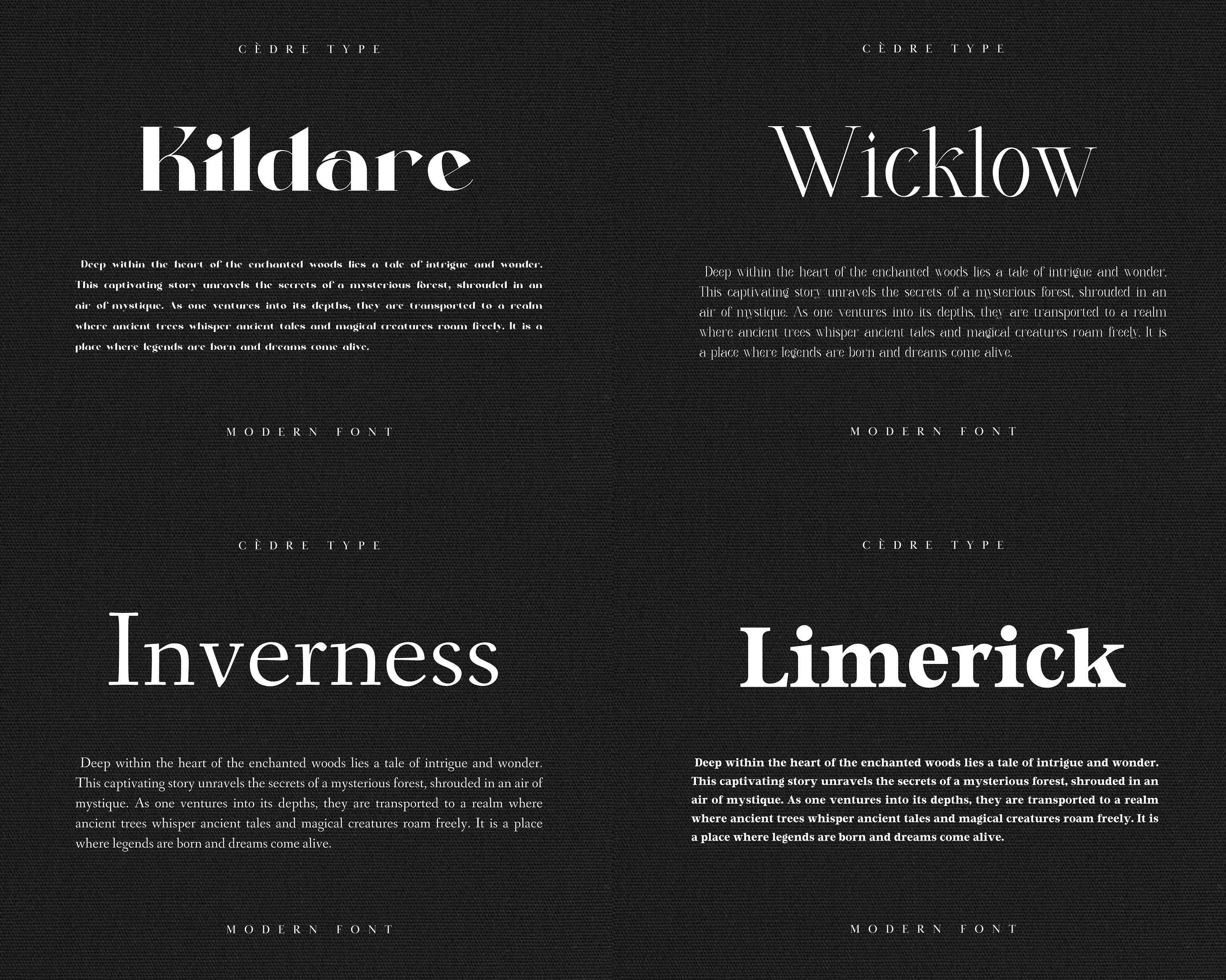 Modern Fonts Bundle 1, Elegant Modern Font OTF, Procreate Fonts, Canva ...