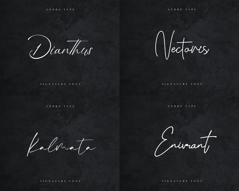 Signature Fonts Bundle 2, Cursive Signature Font OTF, Birthday Fonts ...