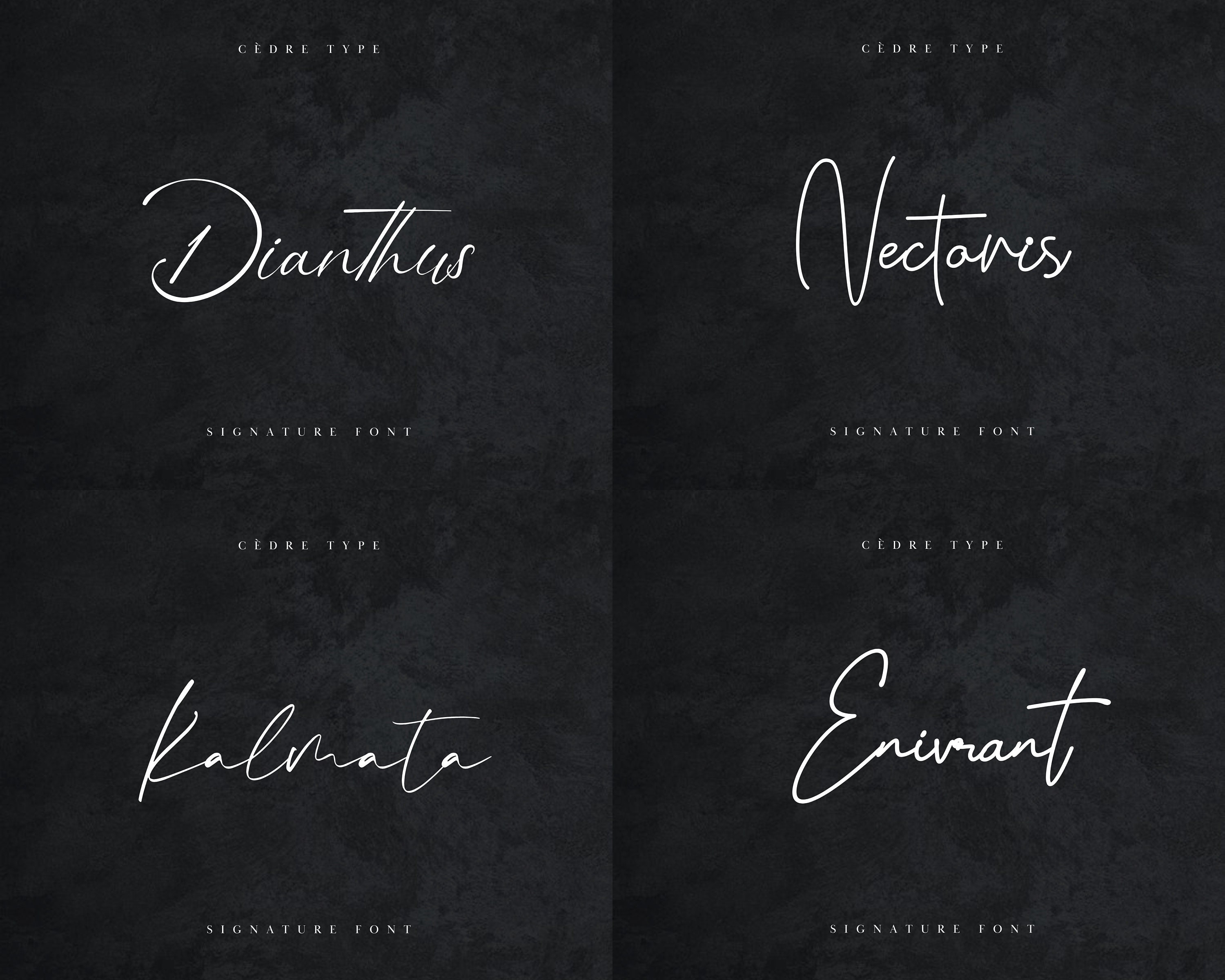 Signature Fonts Bundle 2, Cursive Signature Font OTF, Birthday Fonts ...