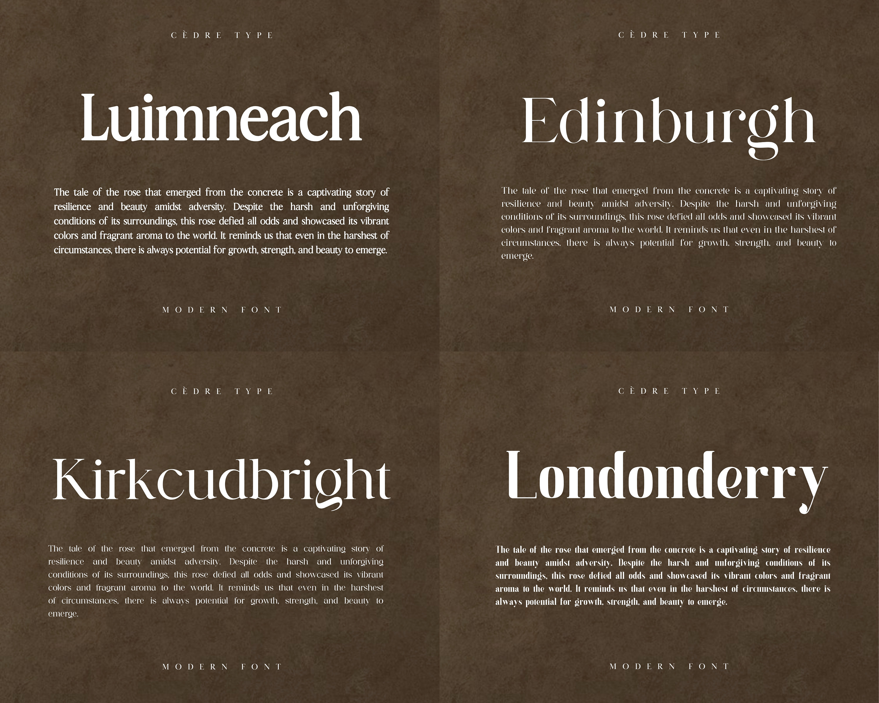 Modern Fonts Bundle 2, Elegant Modern Font OTF, Birthday Fonts, Baby ...