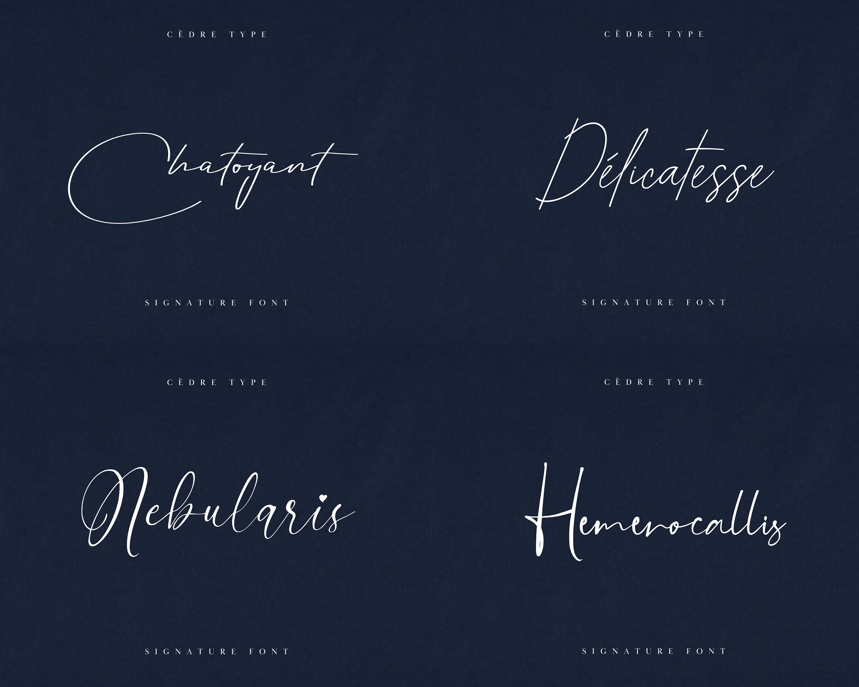 Signature Fonts Bundle 3, Elegant Signature Font, High End Font, Classy ...