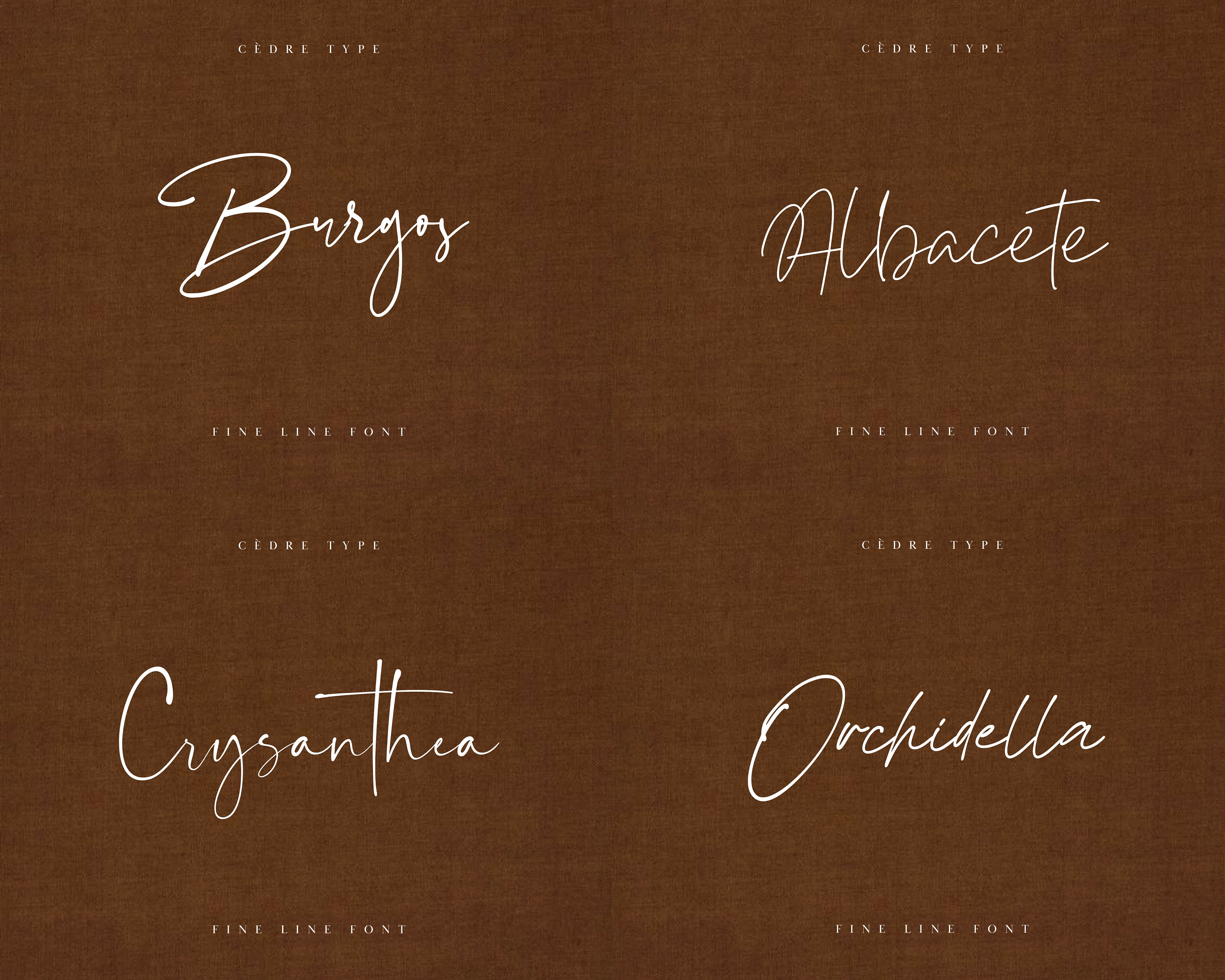 Fine Line Fonts Bundle 2, Calligraphy Fine Line Font OTF, Baby Show ...