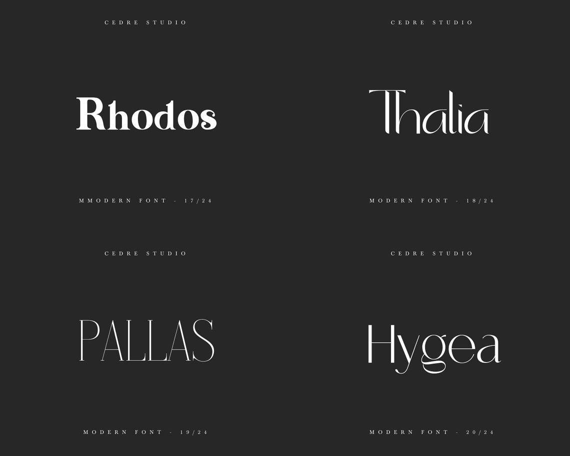 Modern Fonts Bundle 1, Elegant Modern Font OTF, Procreate Fonts, Canva ...