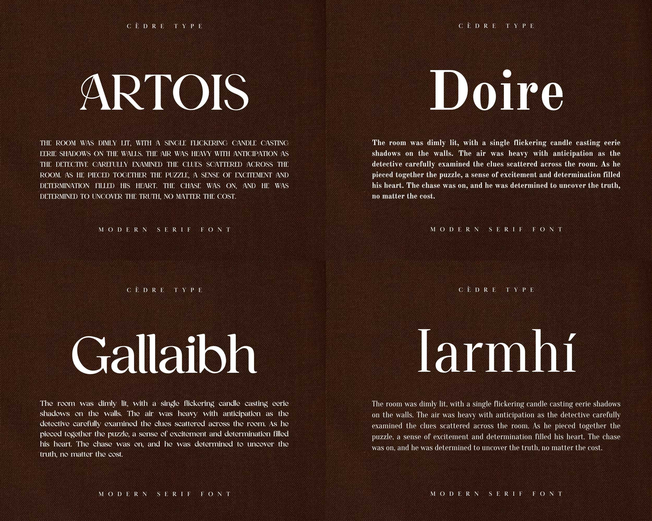 Modern Serif Fonts Bundle 3, Elegant Modern Serif Font OTF, High End ...