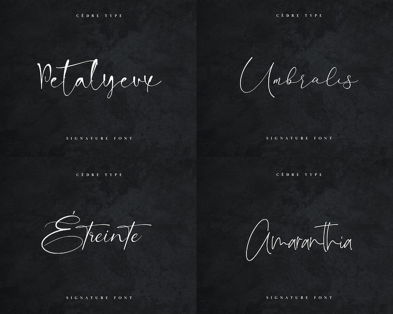 Signature Fonts Bundle 2, Cursive Signature Font OTF, Birthday Fonts ...