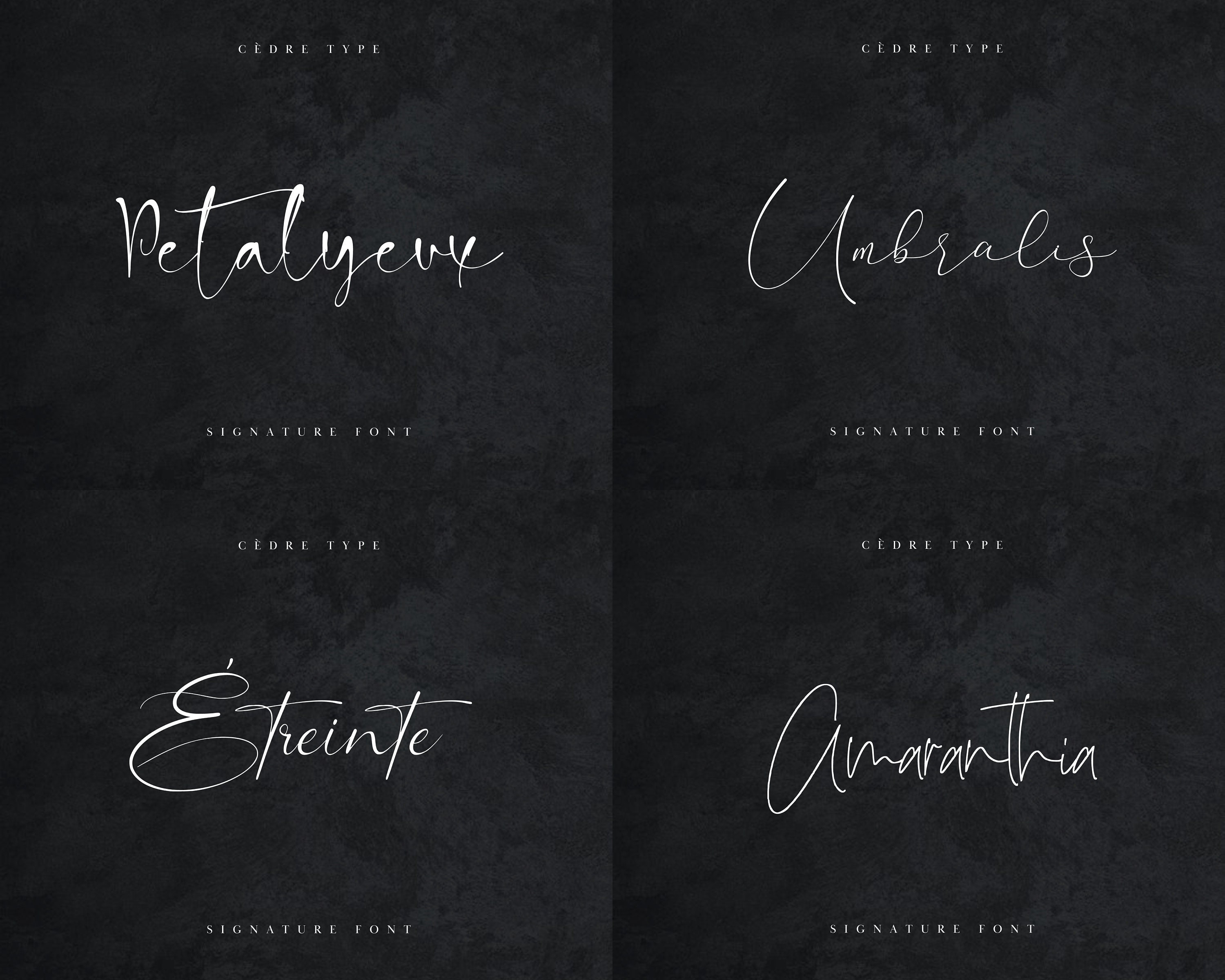 Signature Fonts Bundle 2, Cursive Signature Font OTF, Birthday Fonts ...