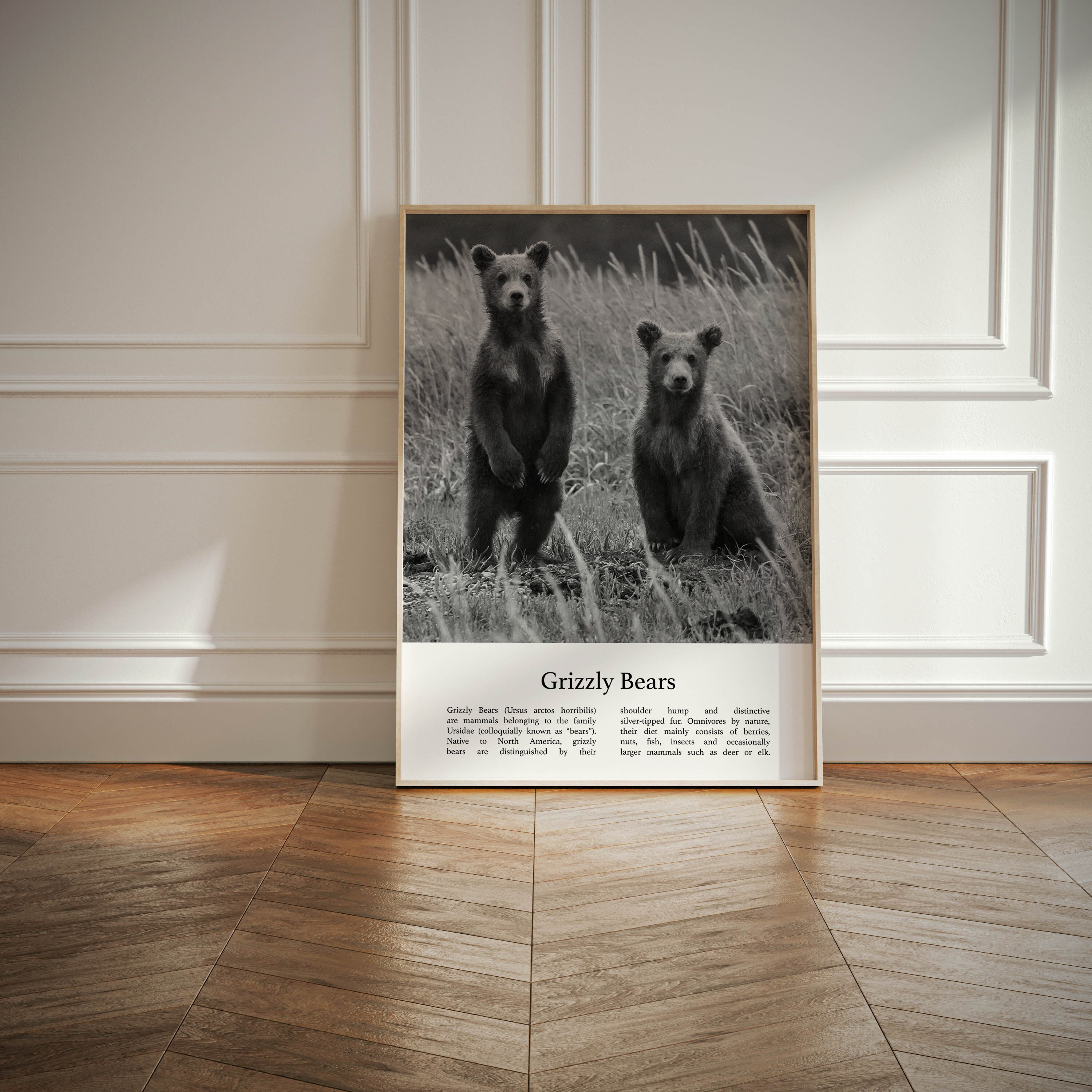 Grizzly Bear Print, Printable Grizzly Bear Wall Art, Infographic ...