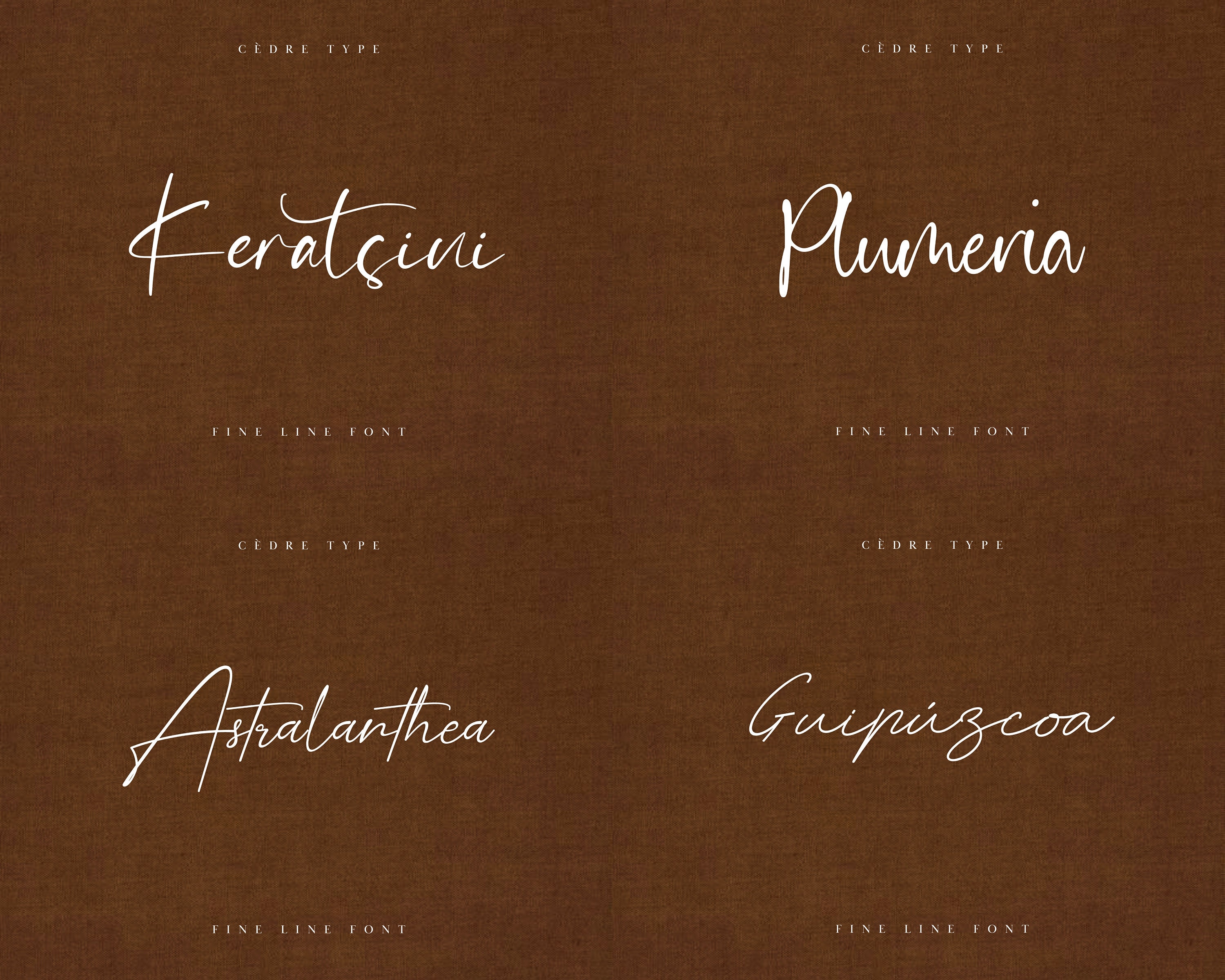 Fine Line Fonts Bundle 2, Calligraphy Fine Line Font OTF, Baby Show ...