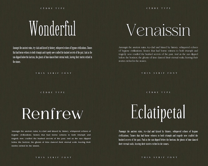 Modern Thin Serif Fonts Bundle, Delicate Thin Serif Font OTF, Crafting ...