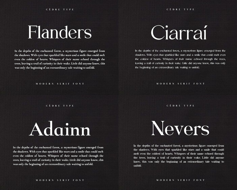 Modern Serif Fonts Bundle 1, Elegant Modern Serif Font OTF, Procreate ...