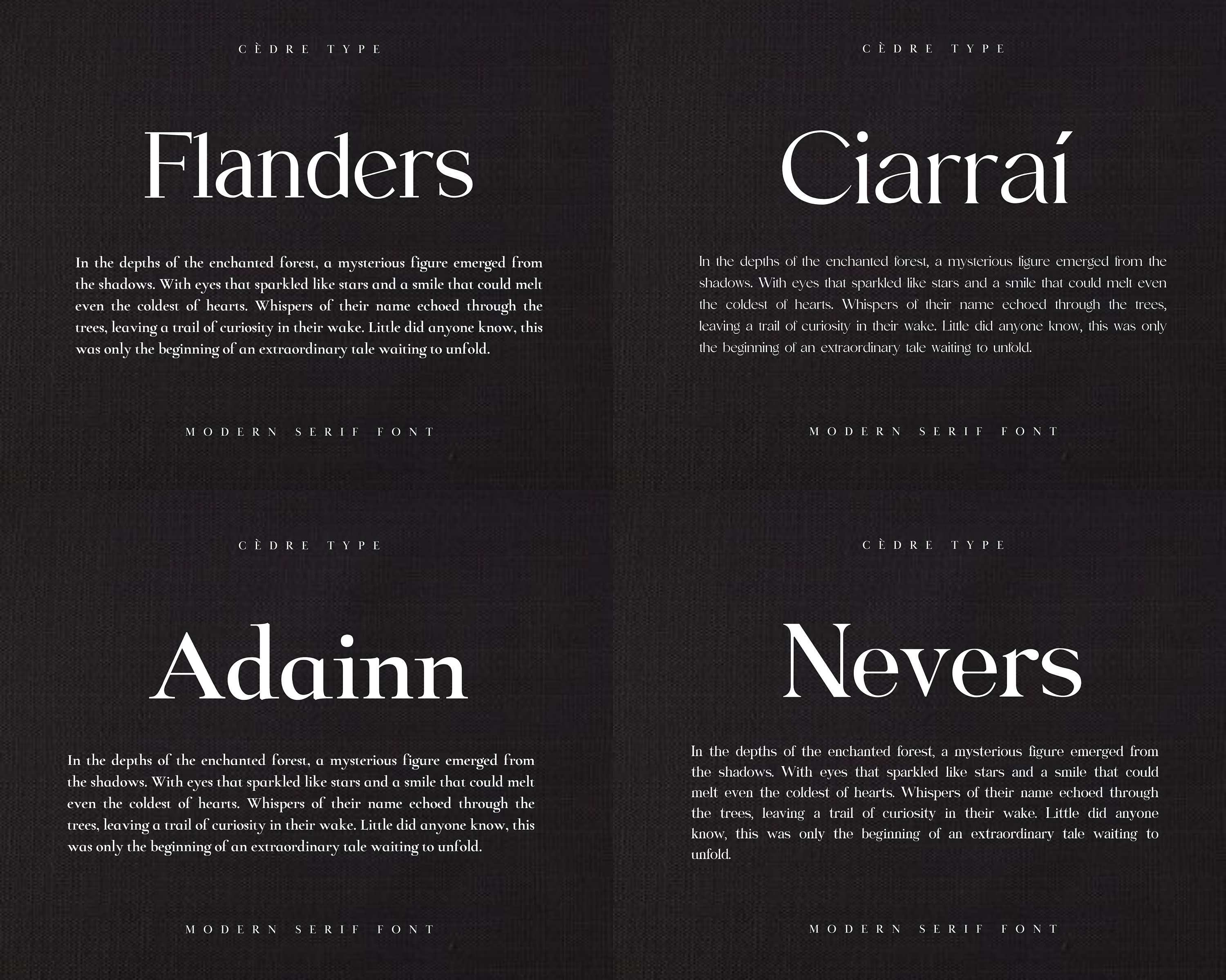 Modern Serif Fonts Bundle 1, Elegant Modern Serif Font OTF, Procreate ...