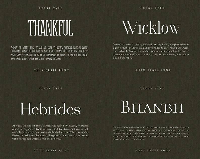 Modern Thin Serif Fonts Bundle, Delicate Thin Serif Font OTF, Crafting ...