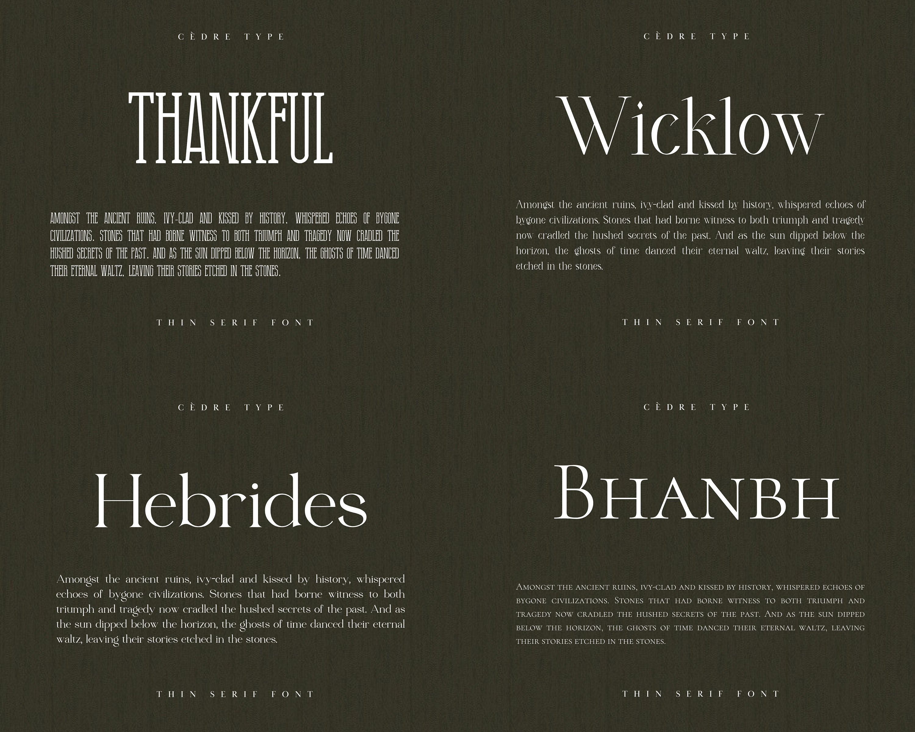 Modern Thin Serif Fonts Bundle, Delicate Thin Serif Font OTF, Crafting Fonts, Wedding Invitation ...