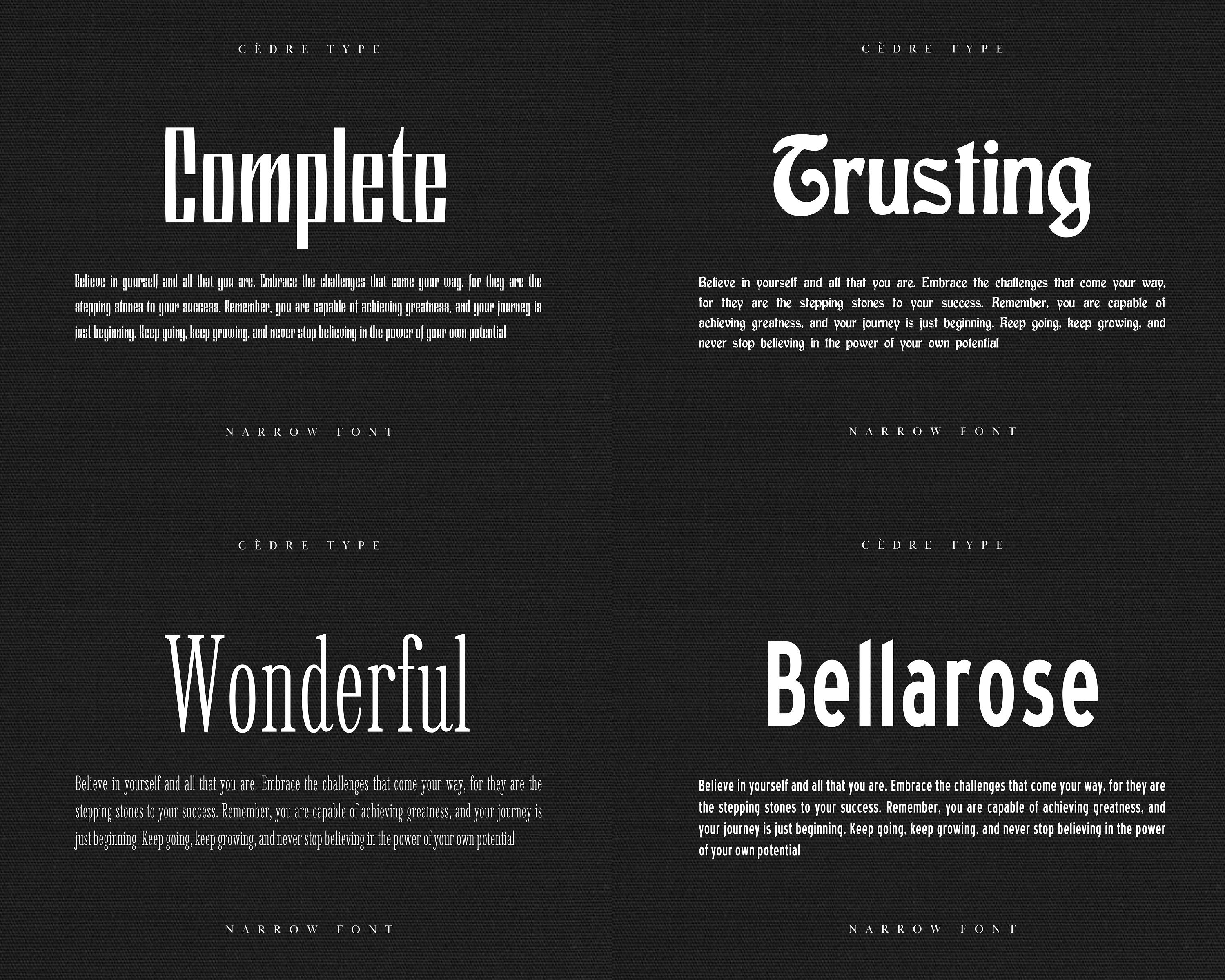 Narrow Fonts Bundle 1, Condensed Narrow Font, Procreate Fonts, Canva ...
