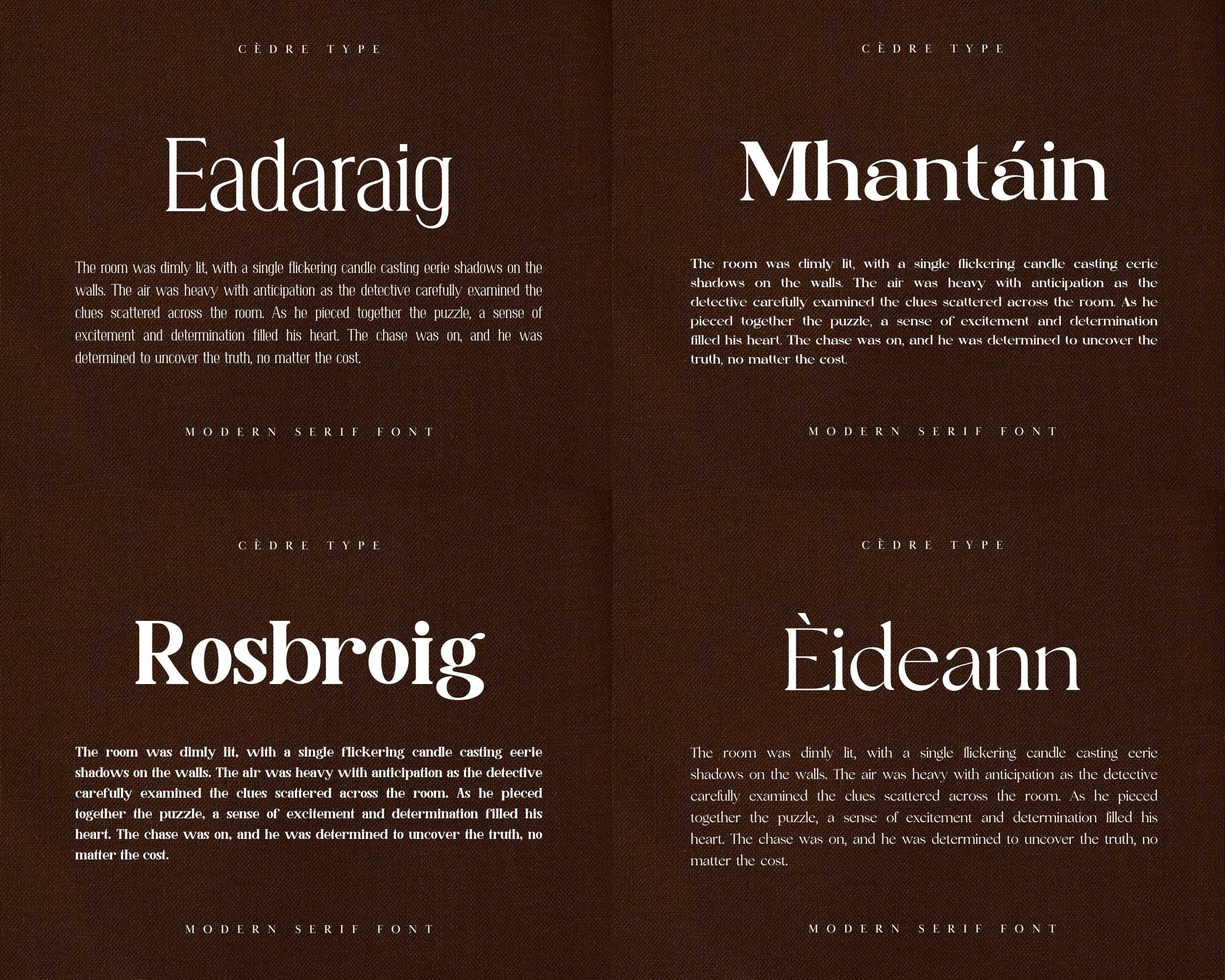 Modern Serif Fonts Bundle 3, Elegant Modern Serif Font OTF, High End ...