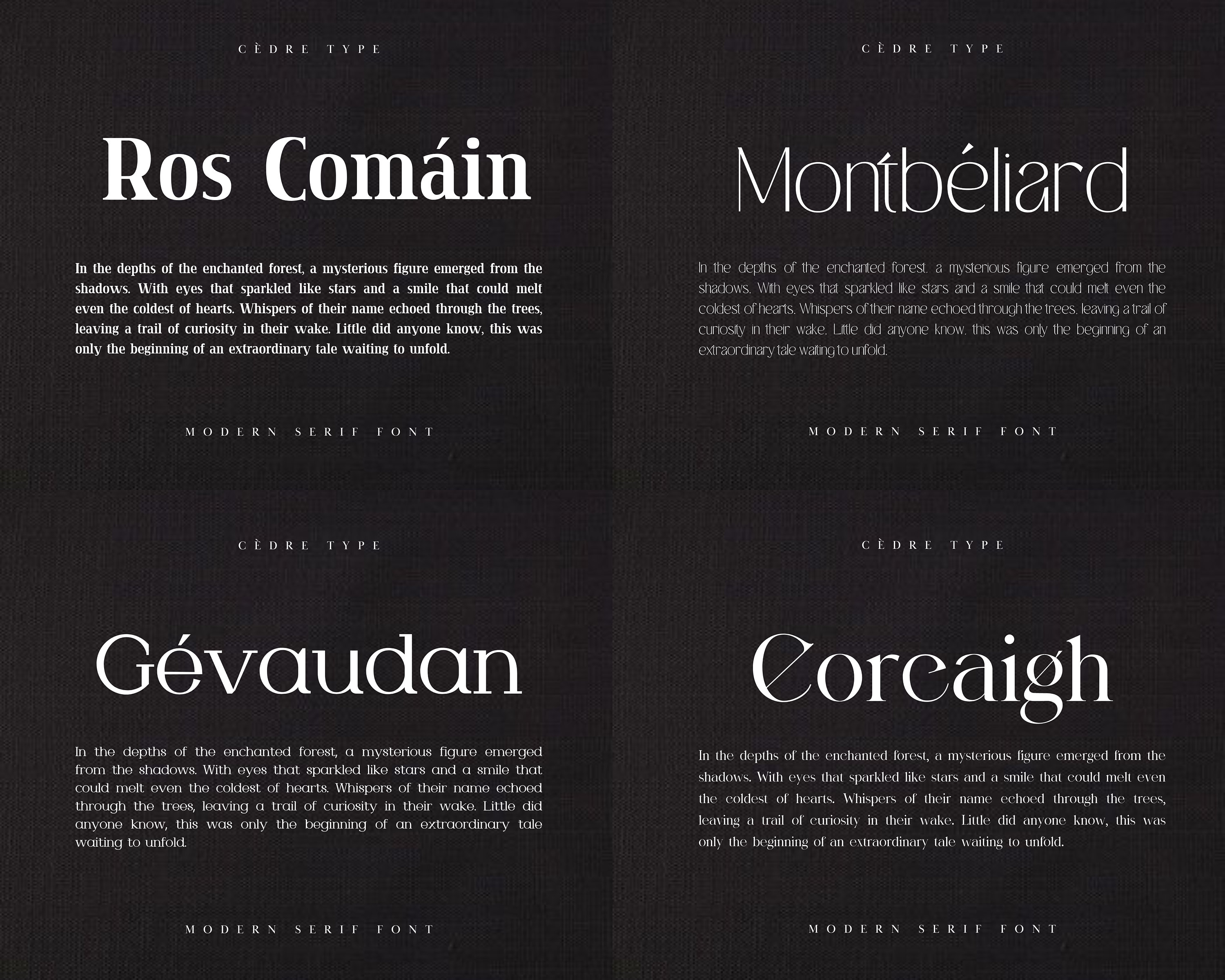 Modern Serif Fonts Bundle 1, Elegant Modern Serif Font OTF, Procreate ...