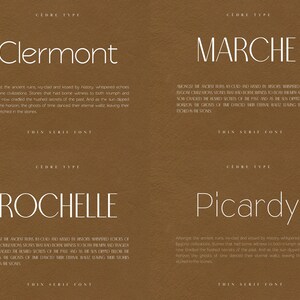 Modern Thin Sans Serif Fonts Bundle, Delicate Thin Sans Serif Font OTF ...