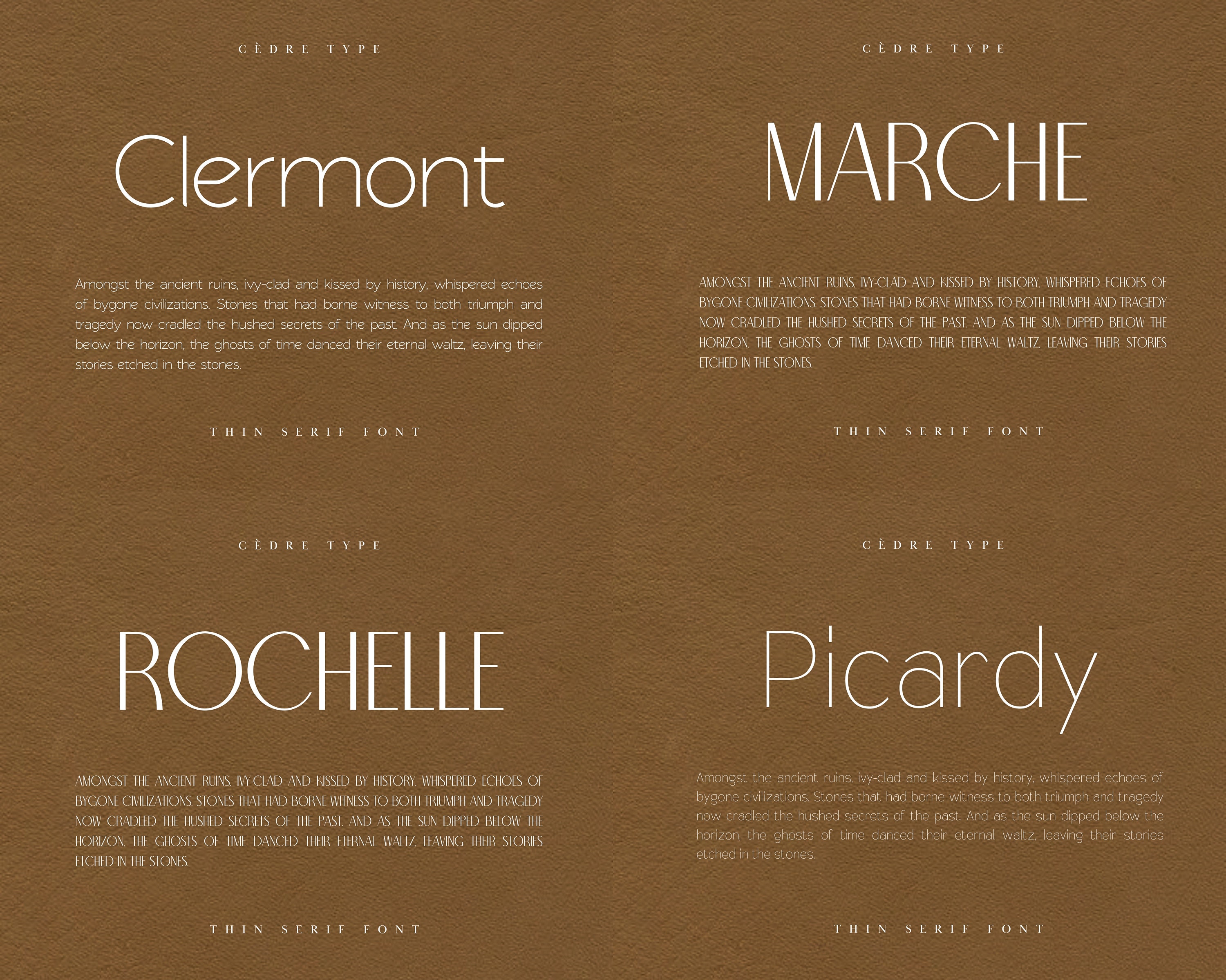 Modern Thin Sans Serif Fonts Bundle, Delicate Thin Sans Serif Font OTF ...