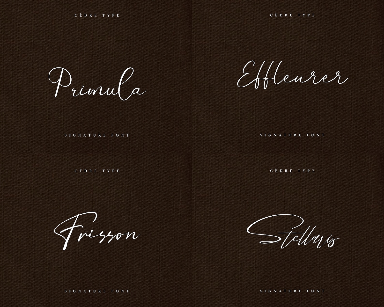 Signature Fonts Bundle 1, Handwritten Signature Font, Handwriting ...