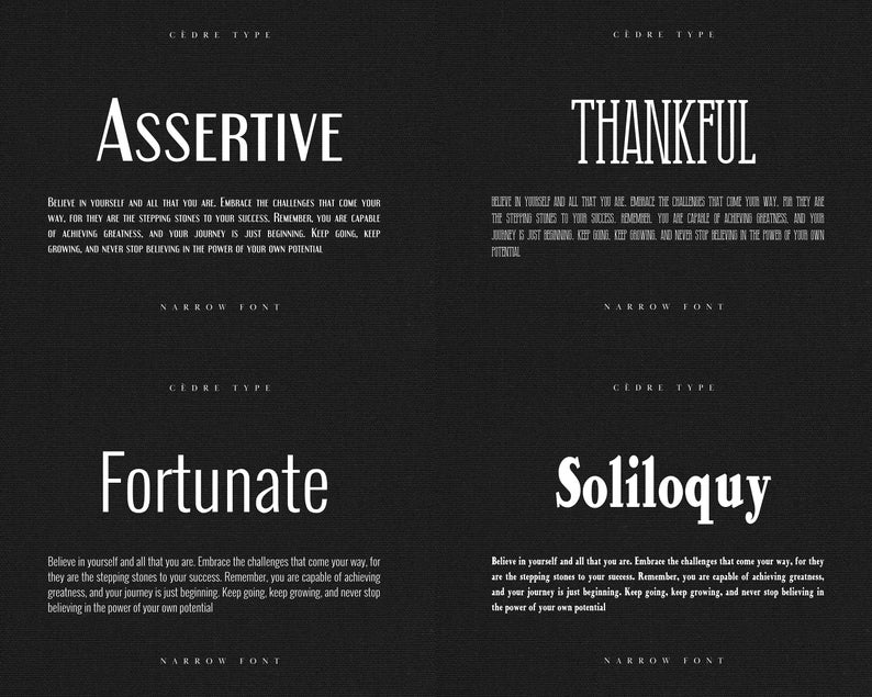 Narrow Fonts Bundle 1, Condensed Narrow Font, Procreate Fonts, Canva ...