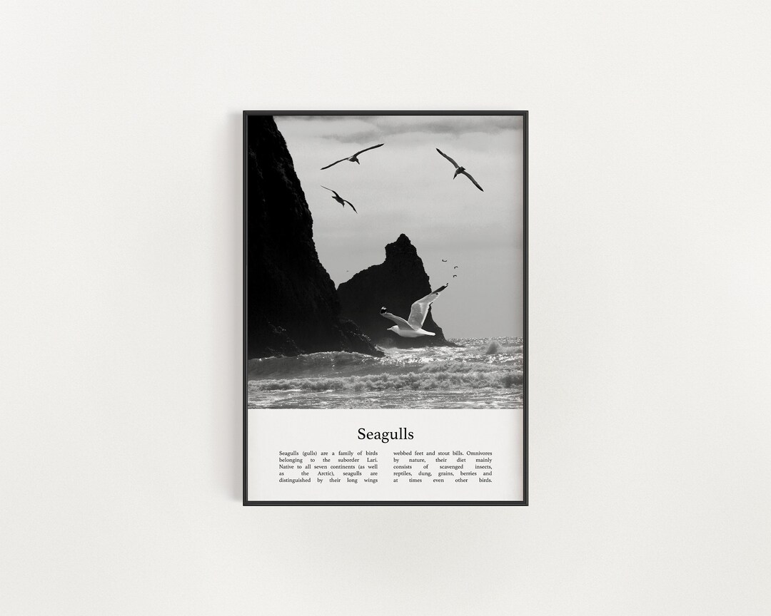 Seagull Print, Printable Seagull Wall Art, Infographic Seagull Poster ...