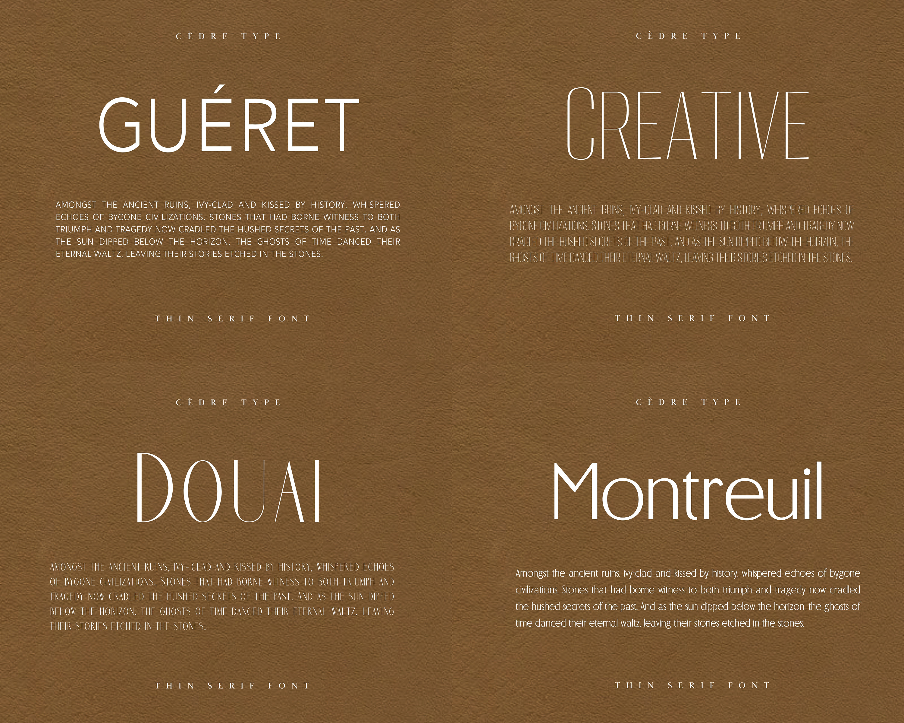 Modern Thin Sans Serif Fonts Bundle, Delicate Thin Sans Serif Font OTF ...