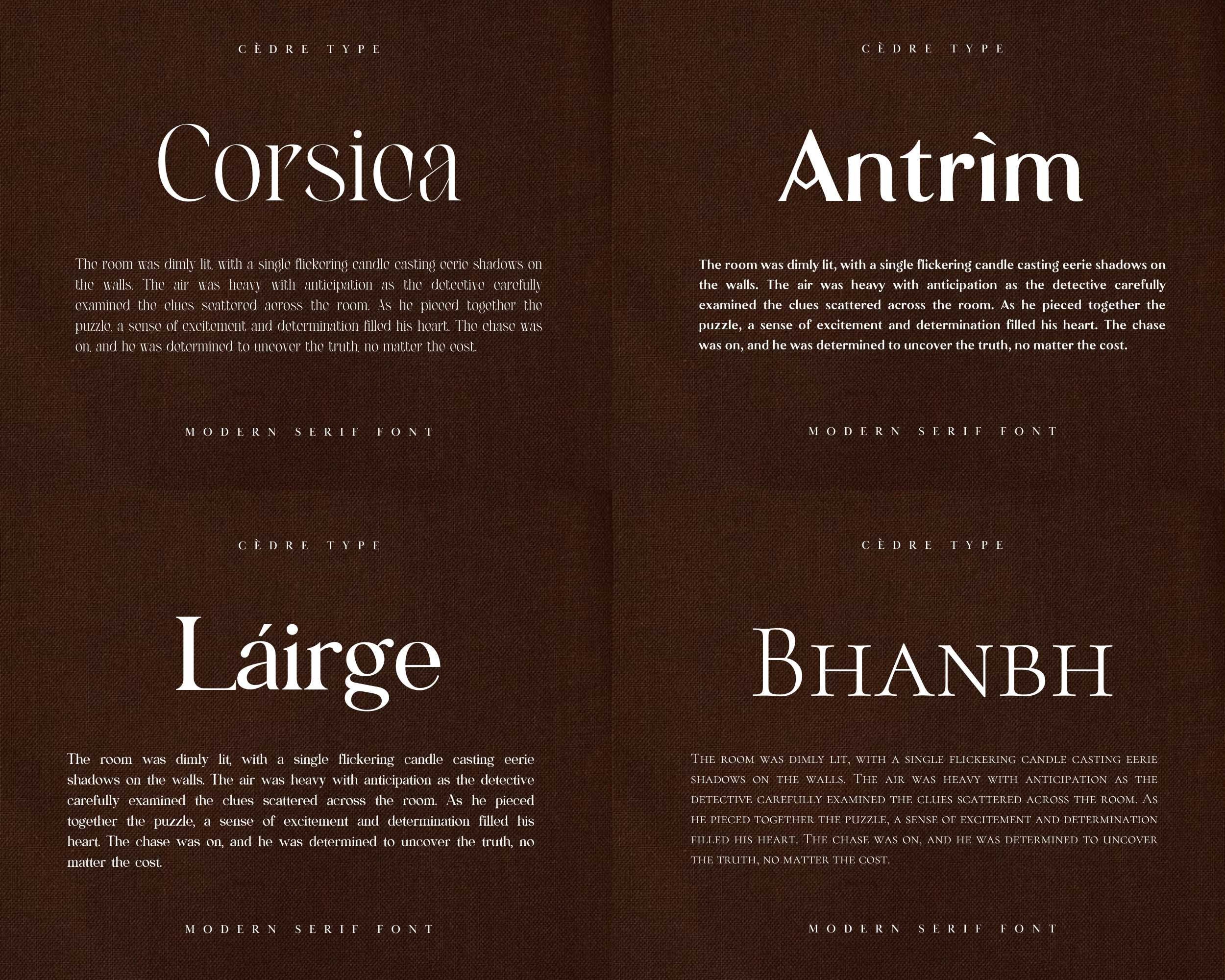 Modern Serif Fonts Bundle 3, Elegant Modern Serif Font OTF, High End ...