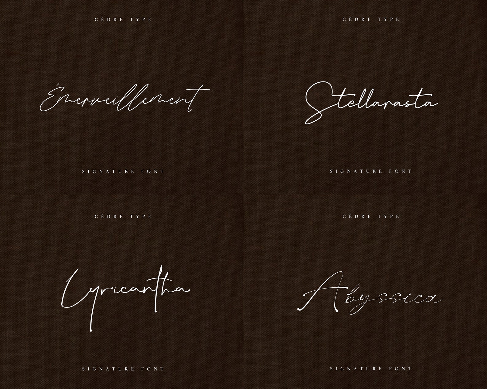 Signature Fonts Bundle 1, Handwritten Signature Font, Handwriting ...