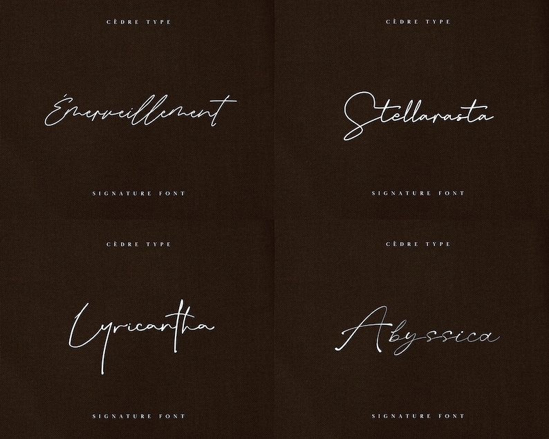 Signature Fonts Bundle 1, Handwritten Signature Font, Handwriting ...