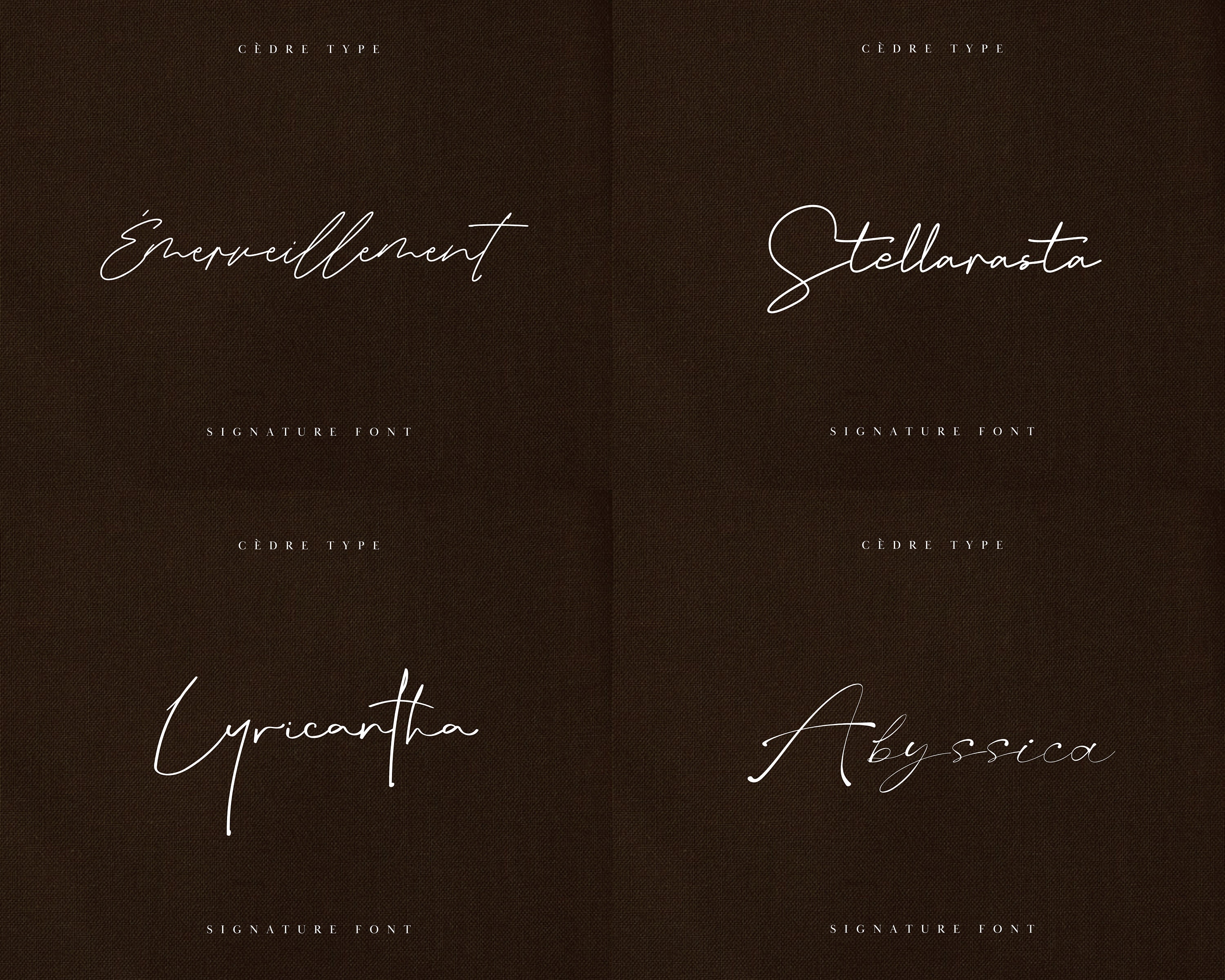 Signature Fonts Bundle 1, Handwritten Signature Font, Handwriting ...
