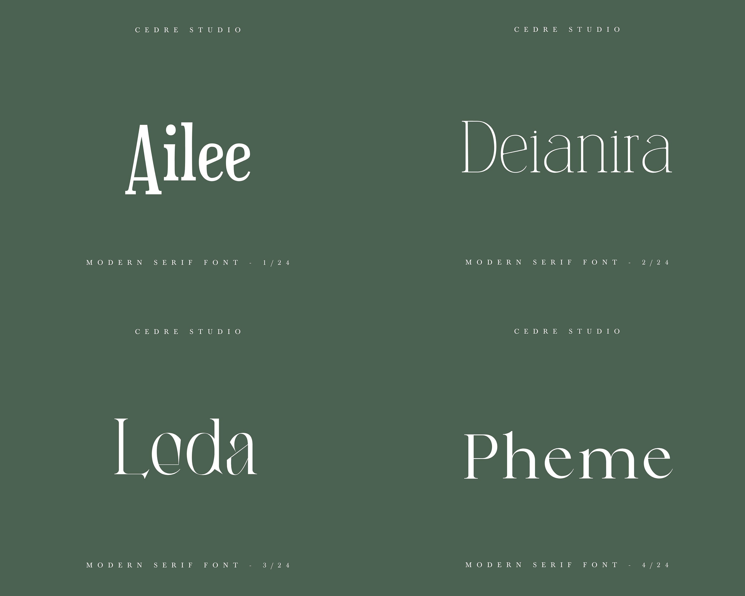 Modern Serif Fonts Bundle 2 Elegant Modern Serif Font OTF - Etsy