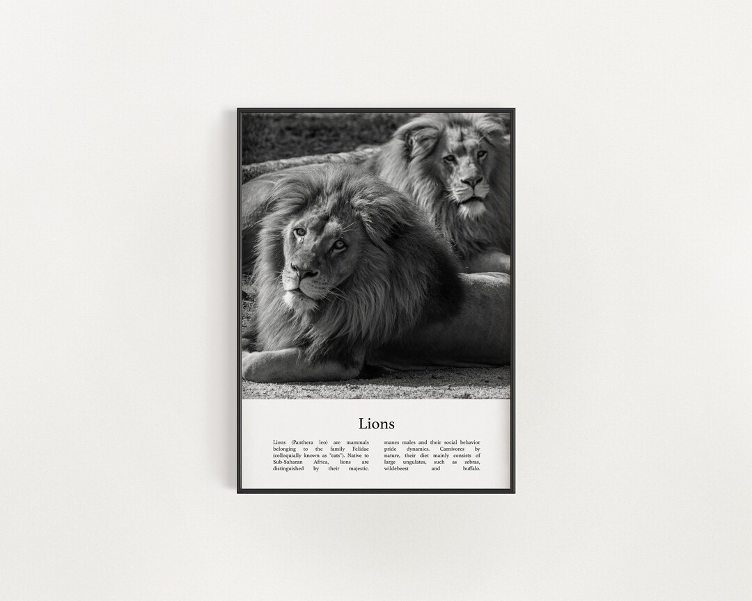 Lion Print, Printable Lion Wall Art, Infographic Lion Poster, Black and ...
