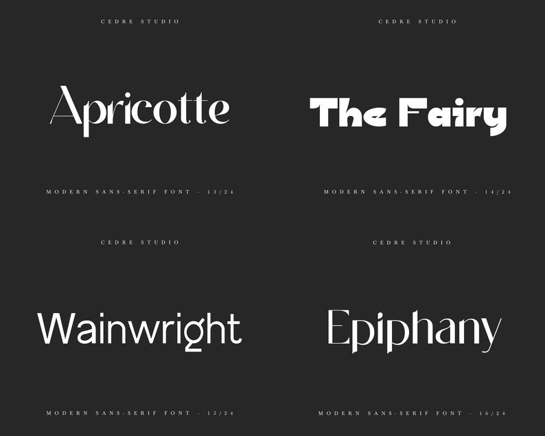 Modern Sans Serif Fonts Bundle 1 Elegant Sans Serif Font OTF - Etsy