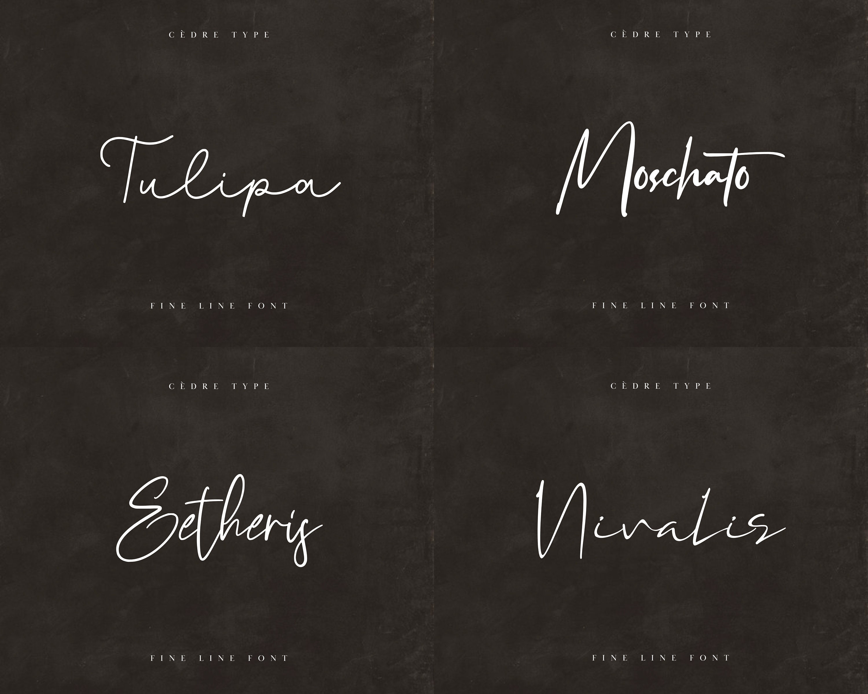 Fine Line Fonts Bundle 1, Cursive Fine Line Font OTF, Procreate Fonts ...