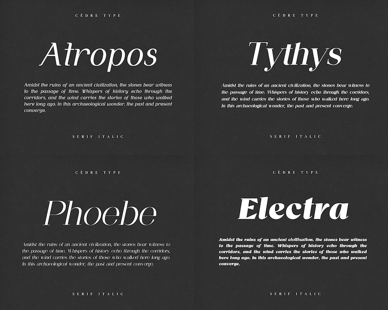 Serif Italic Font Bundle, Modern Serif Italic Fonts OTF, Classy Logo ...