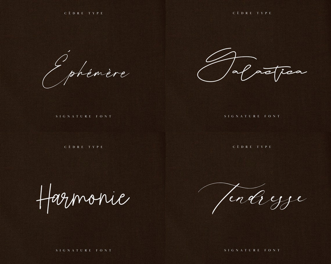 Signature Fonts Bundle 1, Handwritten Signature Font, Handwriting ...