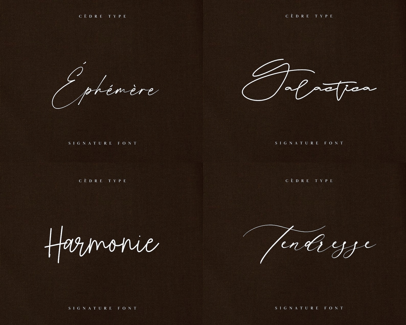 Signature Fonts Bundle 1, Handwritten Signature Font, Handwriting ...