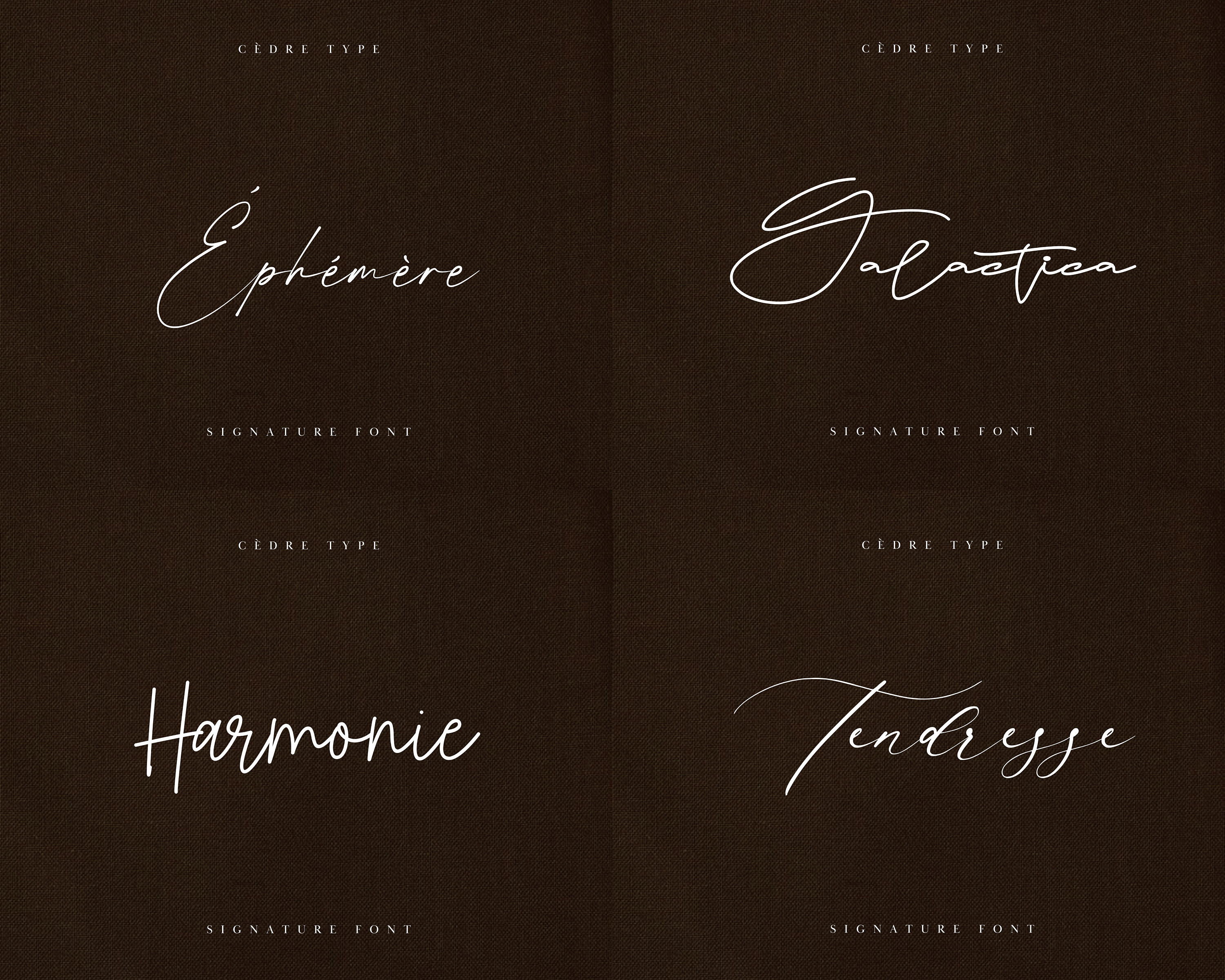 Signature Fonts Bundle 1, Handwritten Signature Font, Handwriting ...