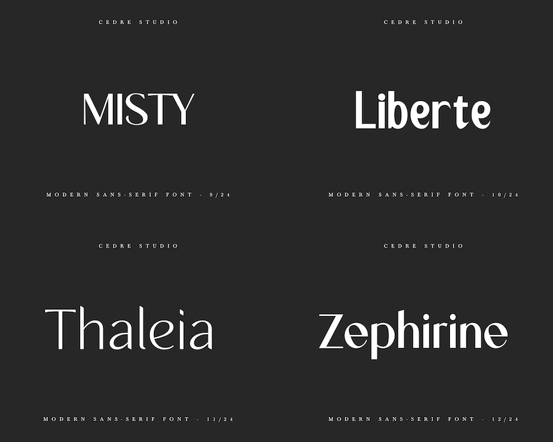 Modern Sans Serif Fonts Bundle 1 Elegant Sans Serif Font OTF - Etsy