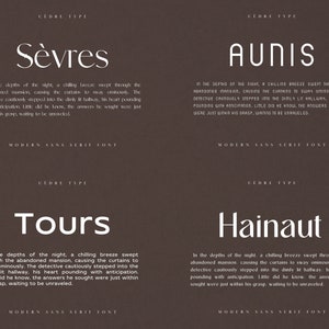 Modern Sans Serif Fonts Bundle 1, Elegant Sans Serif Font OTF ...