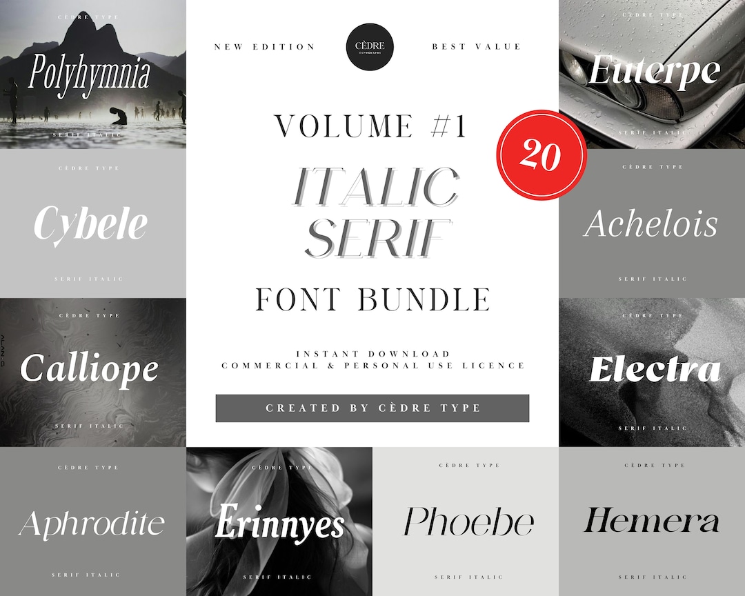 Serif Italic Font Bundle, Modern Serif Italic Fonts OTF, Classy Logo Fonts, Script Fonts for ...