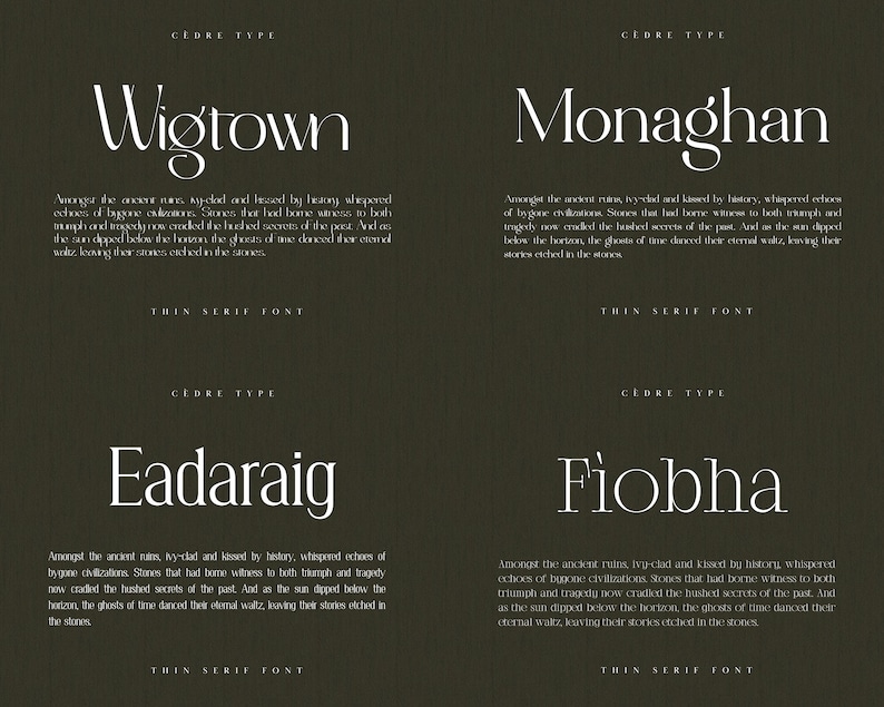 Modern Thin Serif Fonts Bundle, Delicate Thin Serif Font OTF, Crafting ...