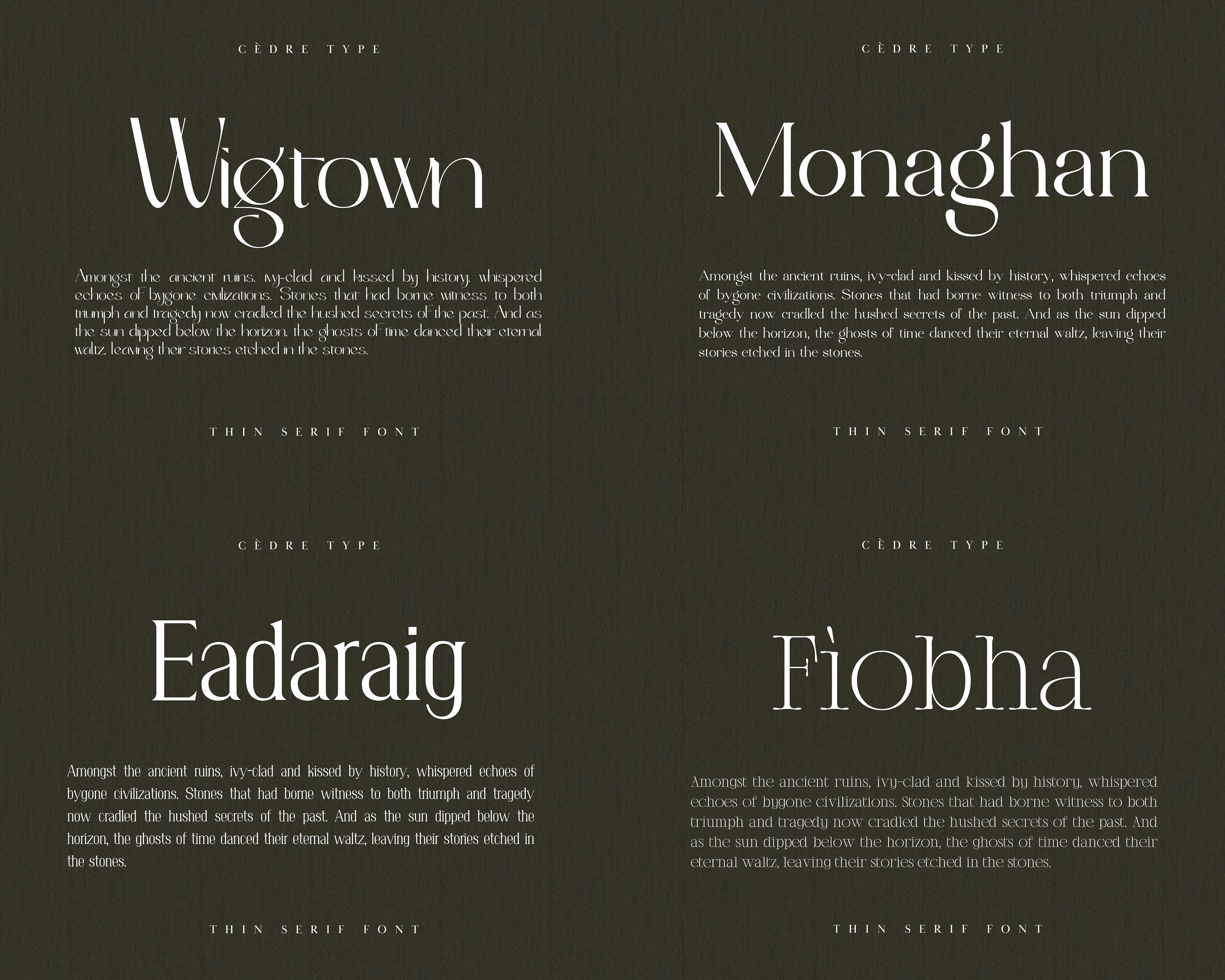 Modern Thin Serif Fonts Bundle, Delicate Thin Serif Font OTF, Crafting ...