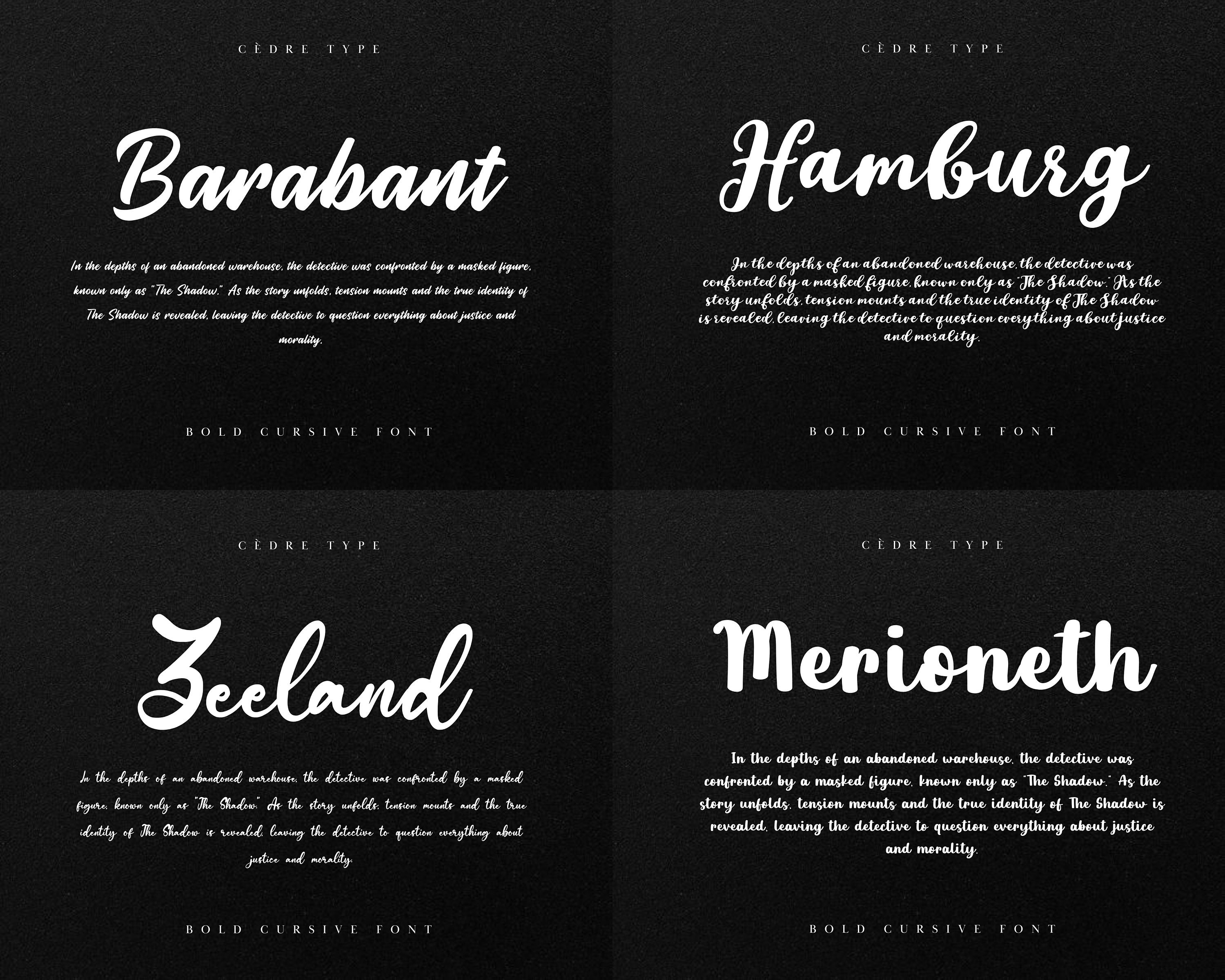 Bold Cursive Fonts Bundle 2, Beautiful Bold Cursive Font OTF, Procreate ...